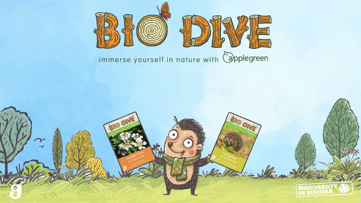 BioDive Competition – Togher Boys' National School