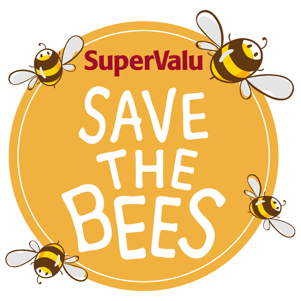 Save the Bees Competition – Togher Boys' National School